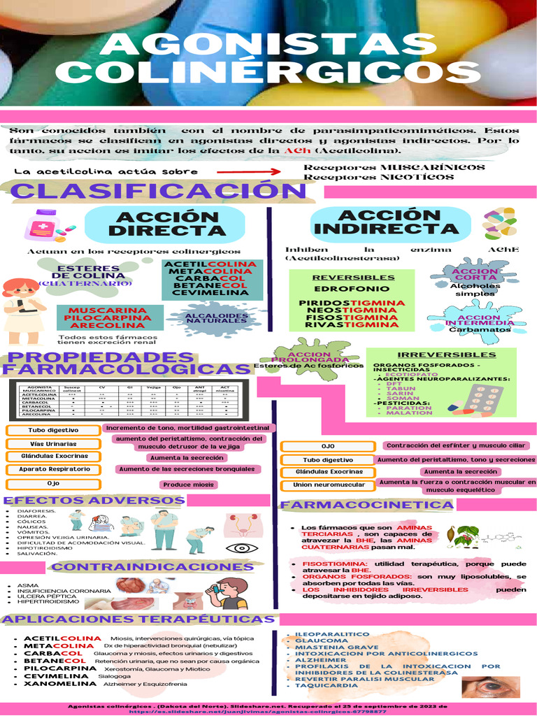 INFOGRAFIA Colinergicos | PDF