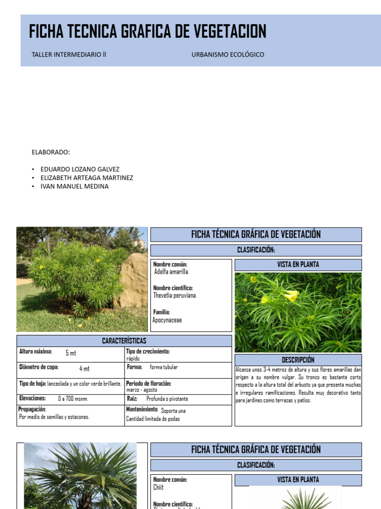 Ficha Vegetacion - Equipo7 | PDF