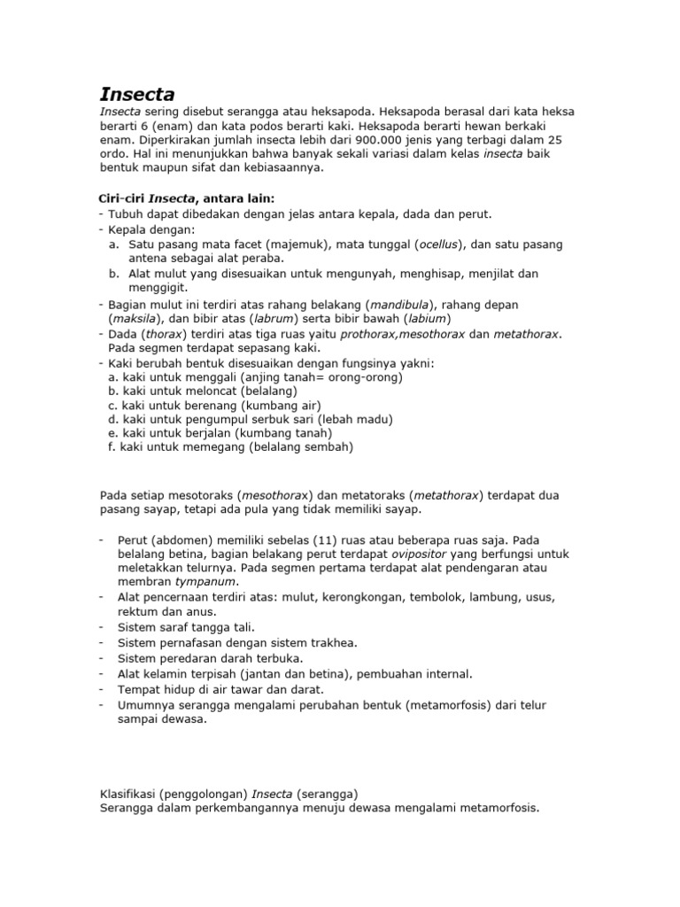 Insecta | PDF