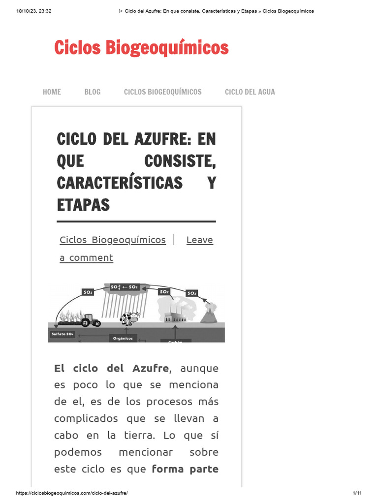 Ciclo Del Azufre - en Que Consiste, Características y Etapas Ciclos Biogeoquímicos | PDF ...