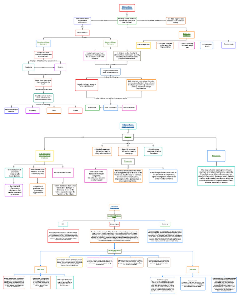 Graphic Organizer-Heart Murmur Elvis Baquero 7mo C | PDF | Heart ...