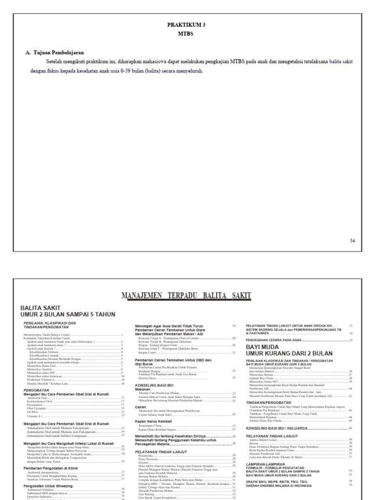 3 Manajemen Terpadu Balita Sakit (MTBS) | PDF