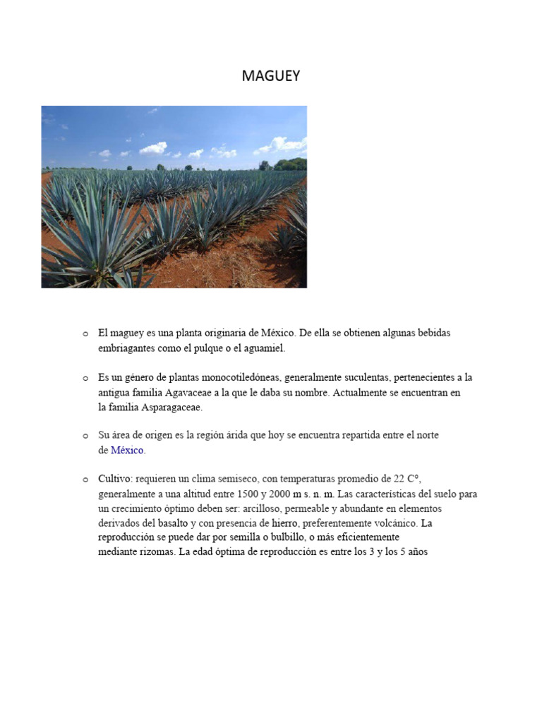 Cultivo y características del maguey | PDF