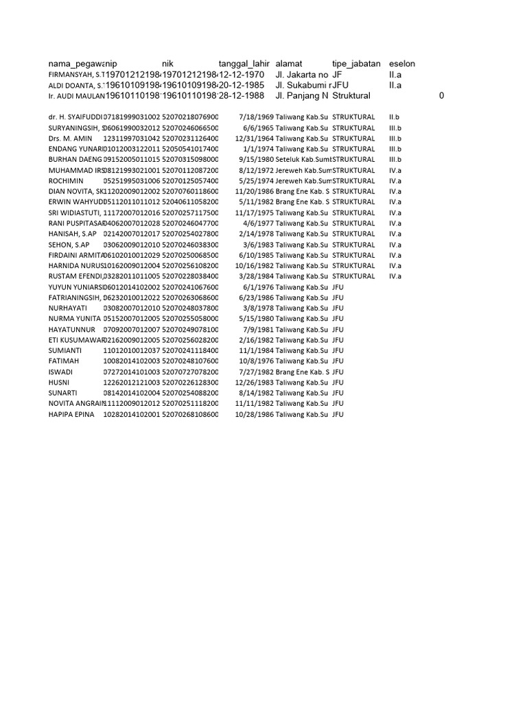 File Pegawai Template Manual | PDF