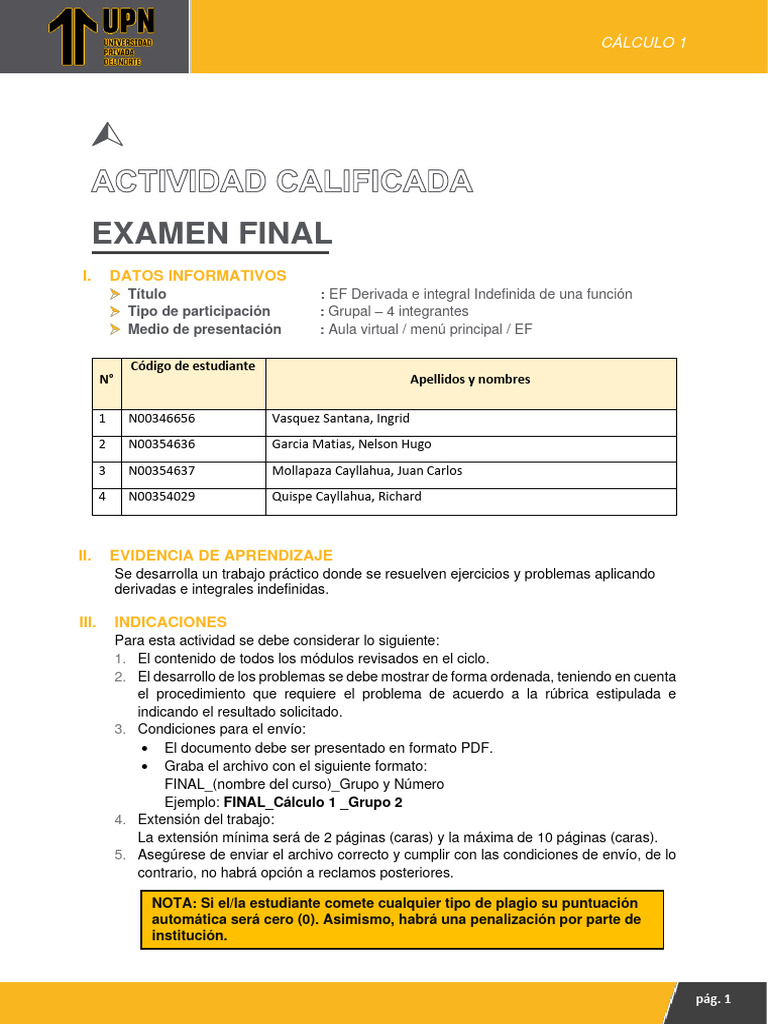Examen Final Calculo 1 Grupo 2 | PDF