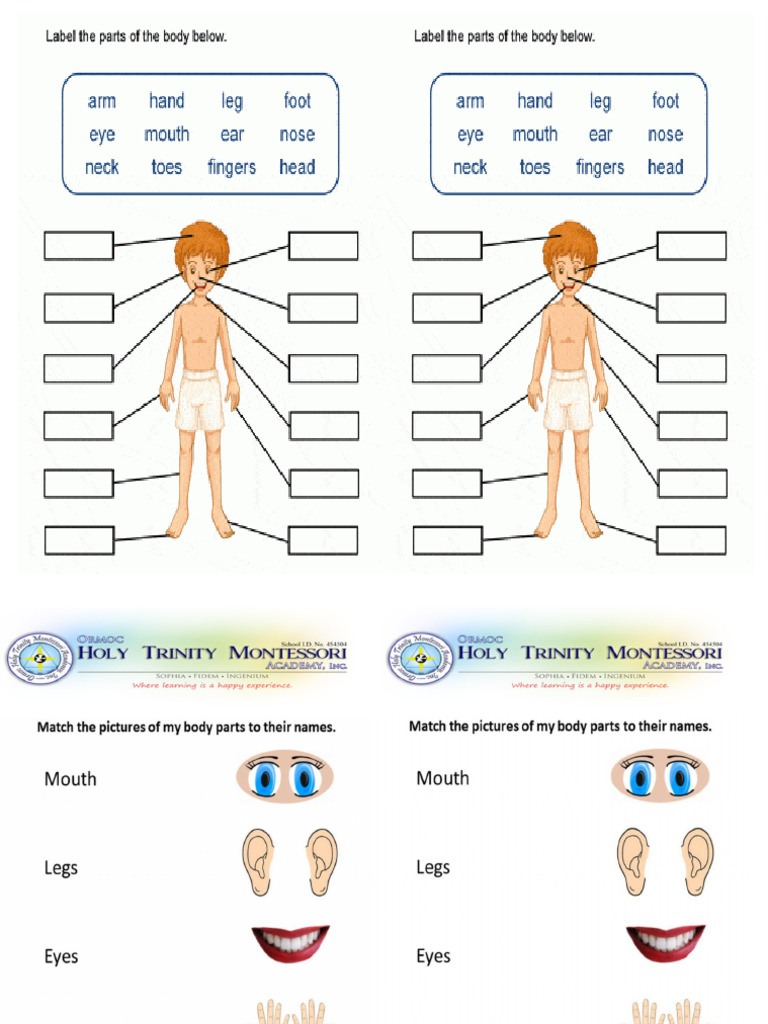 Cosmics 1 Unit 1 Chapter 1 lesson 1 | PDF