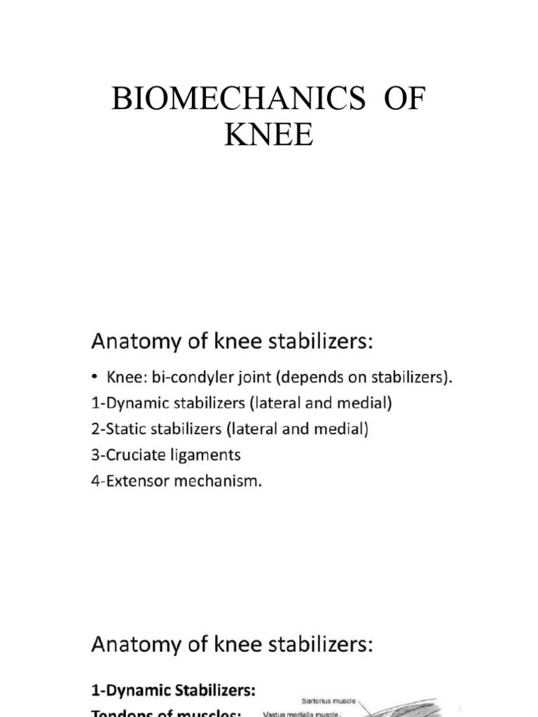 Biomechanics of Knee | PDF | Knee | Musculoskeletal System