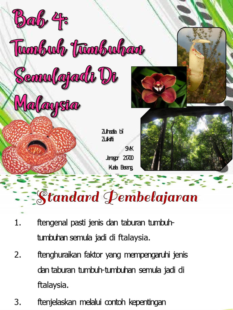 Geo Ting 3 - Bab 4 Tumbuh-Tumbuhan Di Malaysia | PDF