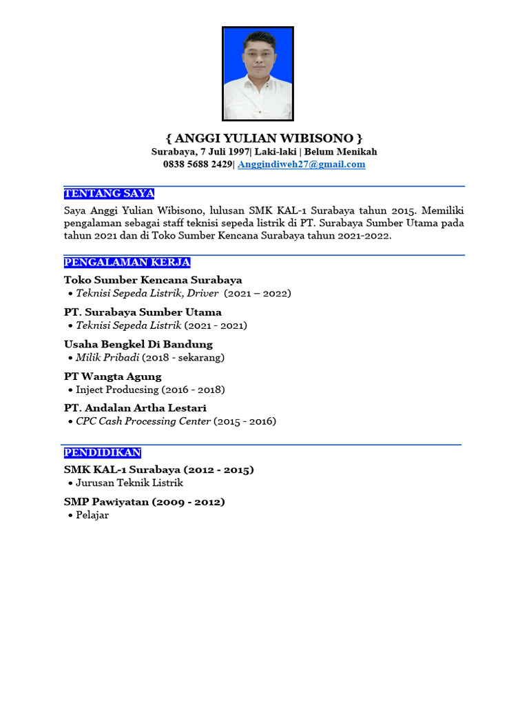 CV Anggi - 094016 | PDF | Bisnis | Teknologi & Rekayasa