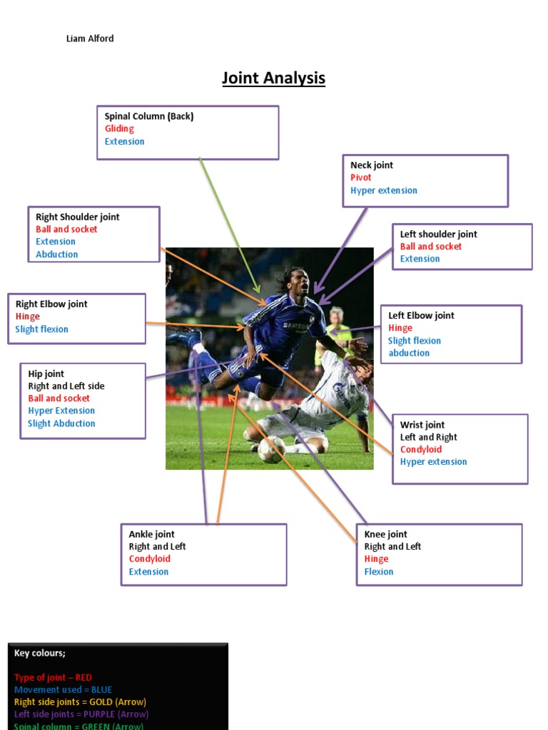 Joint Analysis | PDF