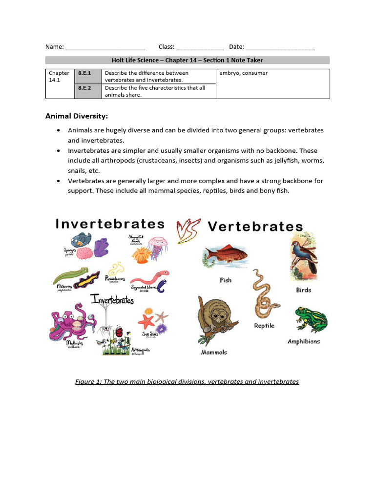 GR 8 14.1 Note Ans Key | PDF | Invertebrate | Cell (Biology)