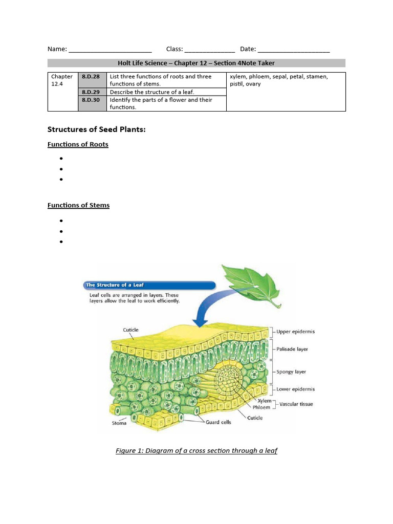 GR 8 12.4 Note | PDF