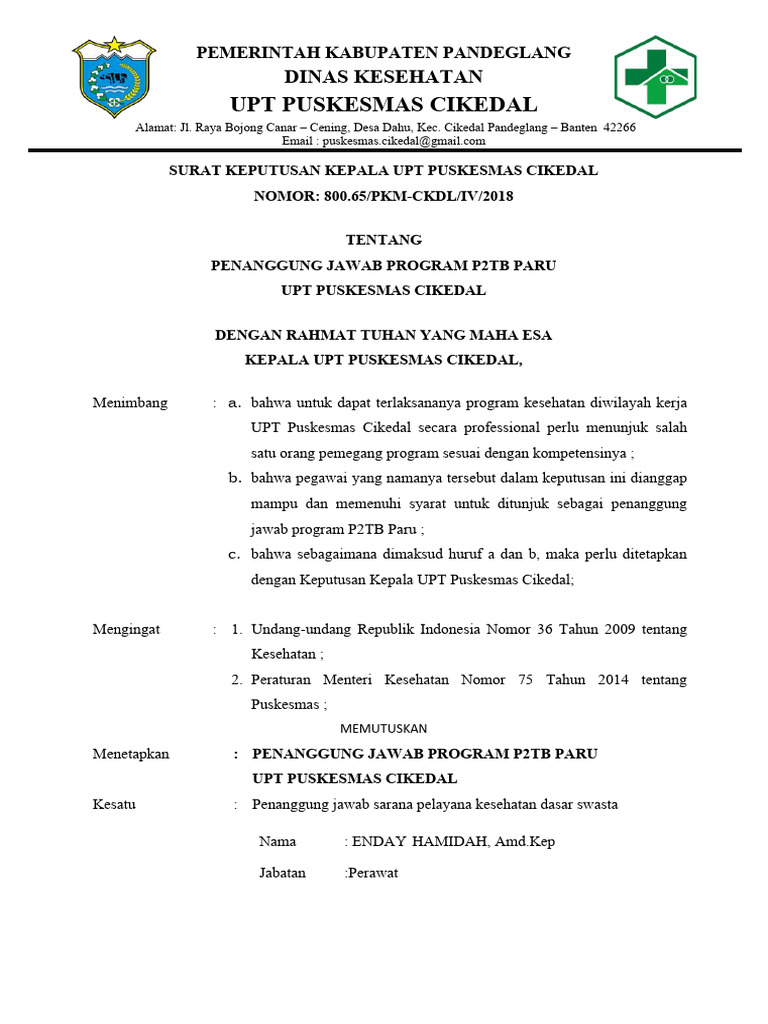 SK Penanggung Jawab TB Paru | PDF