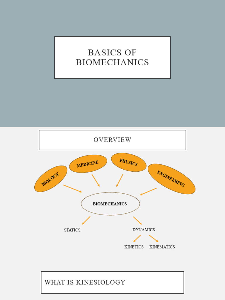 Basics of Biomechanics | PDF | Anatomical Terms Of Motion | Anatomical ...