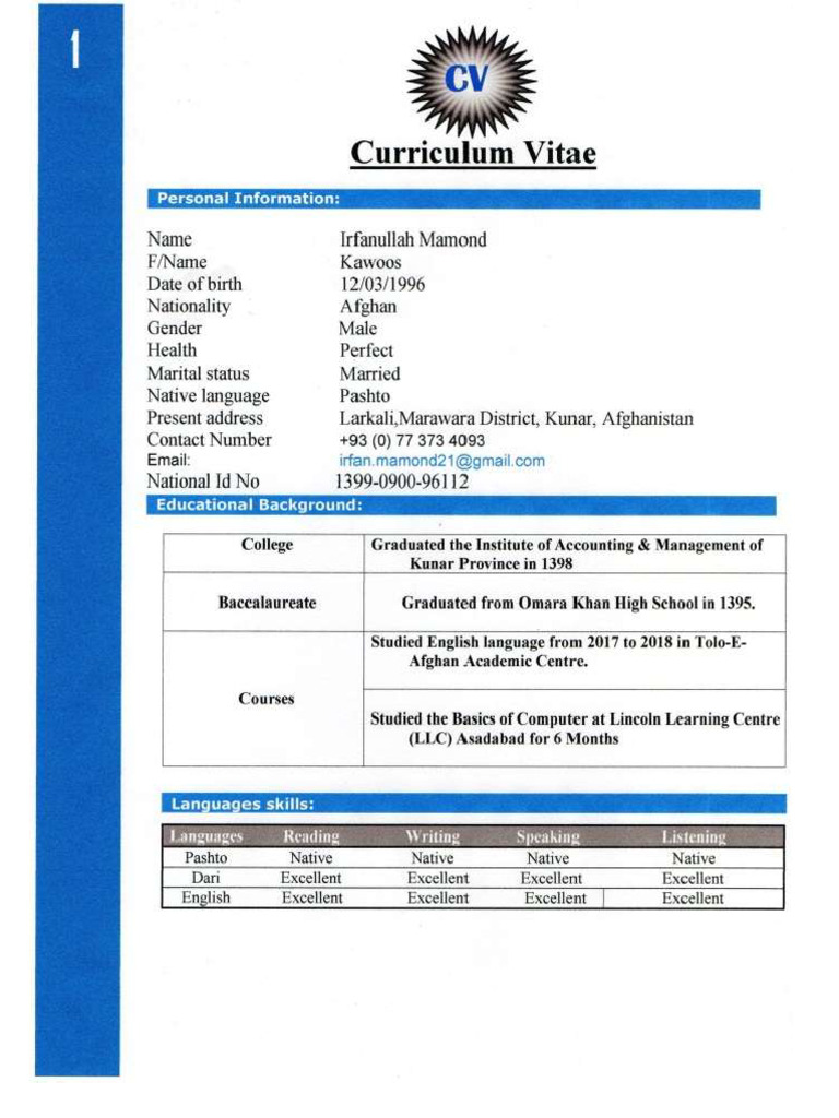 Irfan CV | PDF