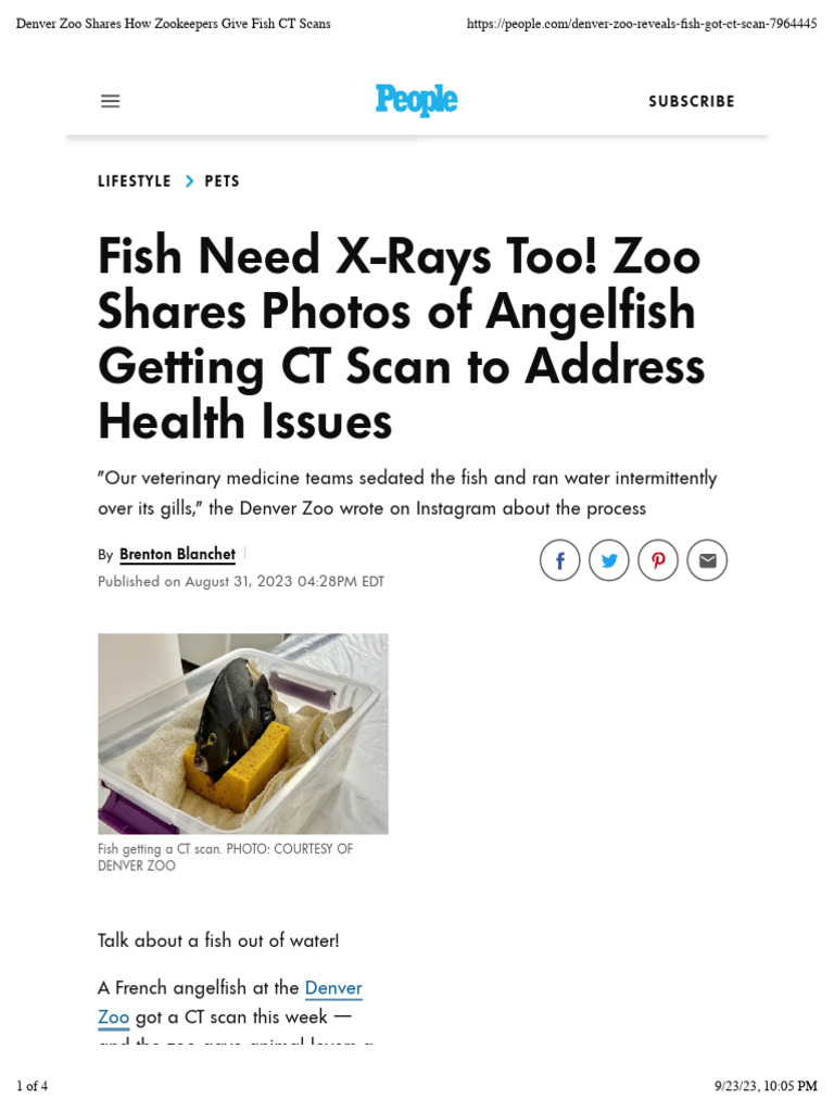 Denver Zoo Shares How Zookeepers Give Fish CT Scans | PDF