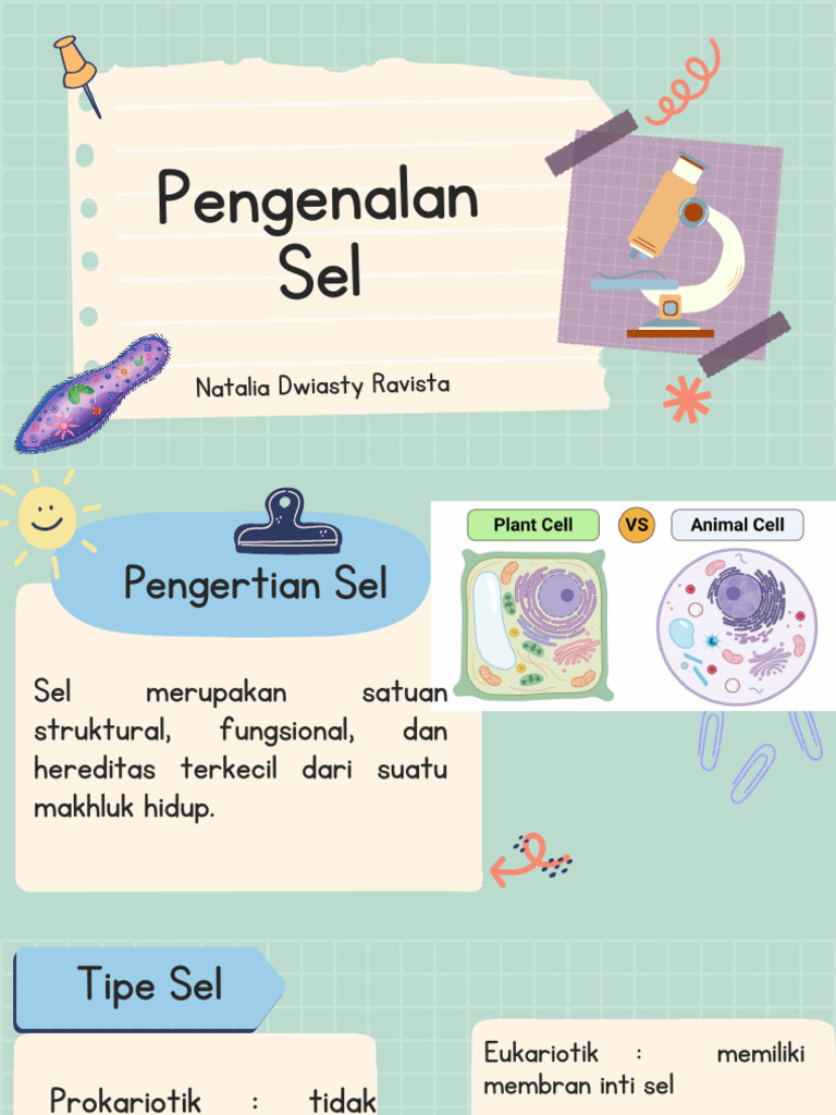 Pengenalan Sel - 8 SMP | PDF | Griya & Taman | Kesehatan Holistik