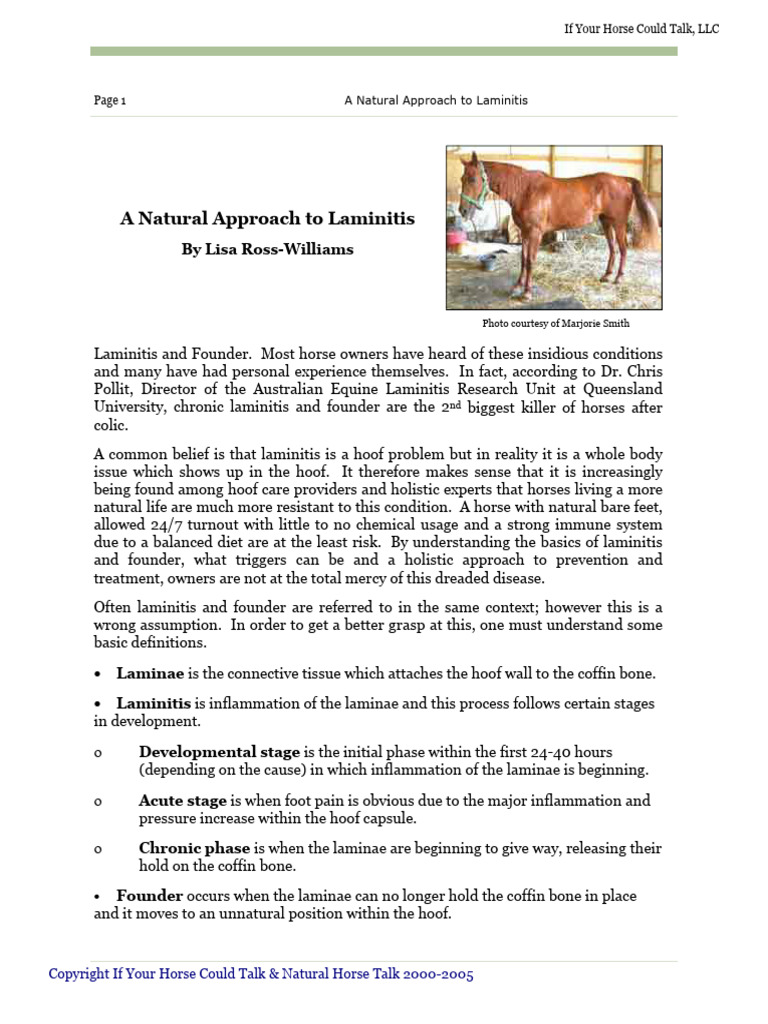 A Natural Approach To Laminitis | PDF | Science & Mathematics