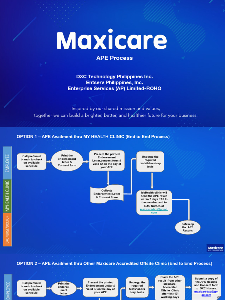 B1.10.DXC - APE Process 2023 (Final) | PDF