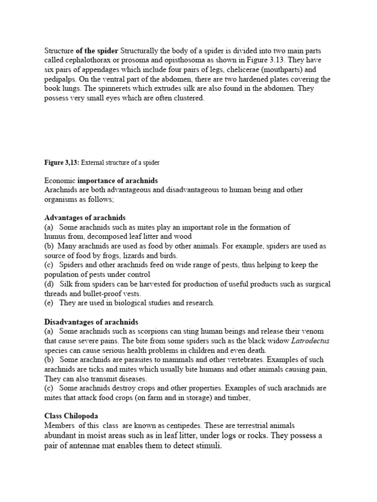 Distinctive Features of Amphibians | PDF | Amphibian | Insects