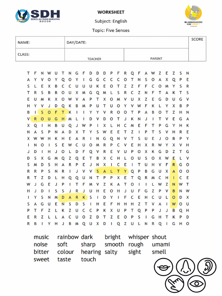 1A Answers Five Senses Worksheet | PDF