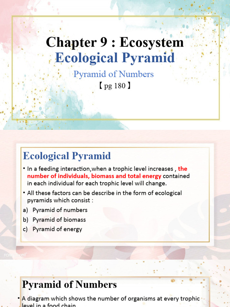 Bio C9 Ecological Pyramid | PDF | Science & Mathematics | Technology ...