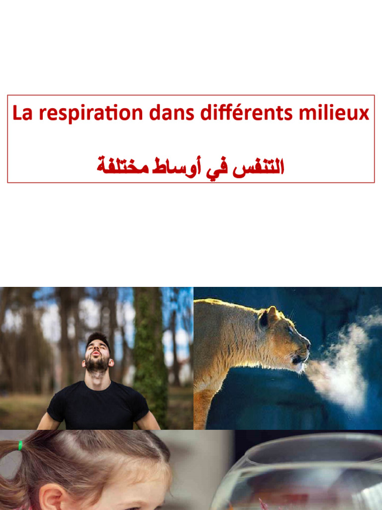 La Respiration Dans Différents Milieux | PDF | Système respiratoire ...