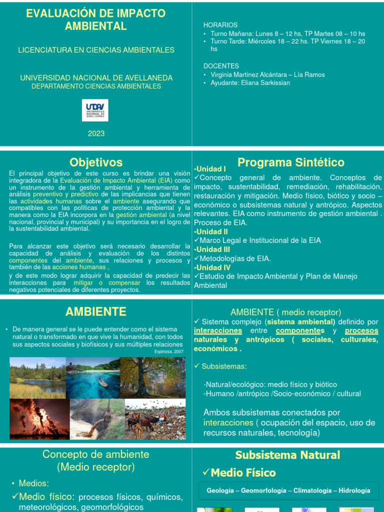 01 - EIA UNDAV Teorico 1 | PDF