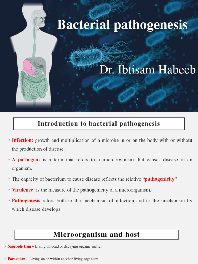 Bacterial Pathogenesis | PDF | Phagocyte | Virulence