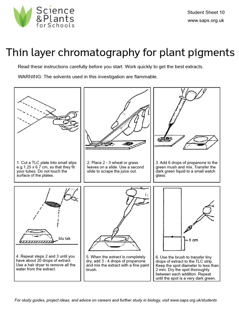 SAPS - TLC Sheet 10 - Student Sheet | PDF | Thin Layer Chromatography ...