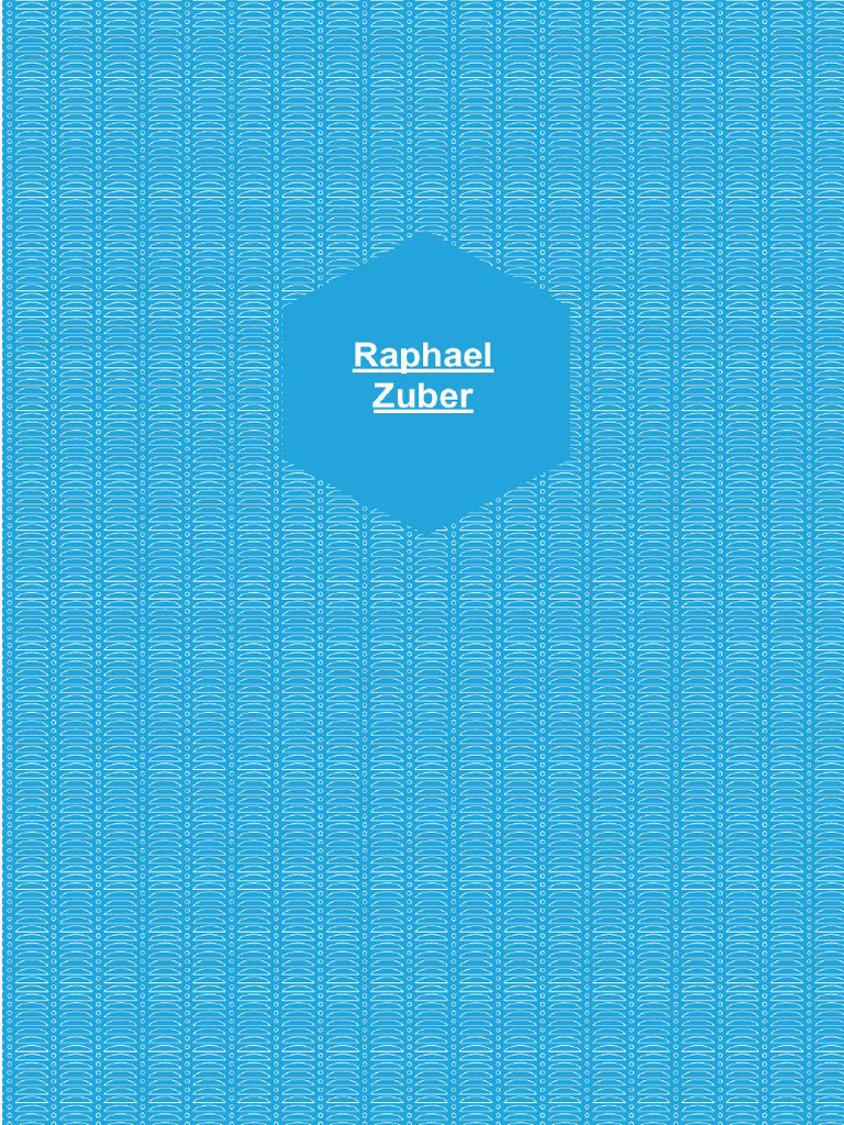 Porto Academy 2013, Raphael Zuber Studio | PDF