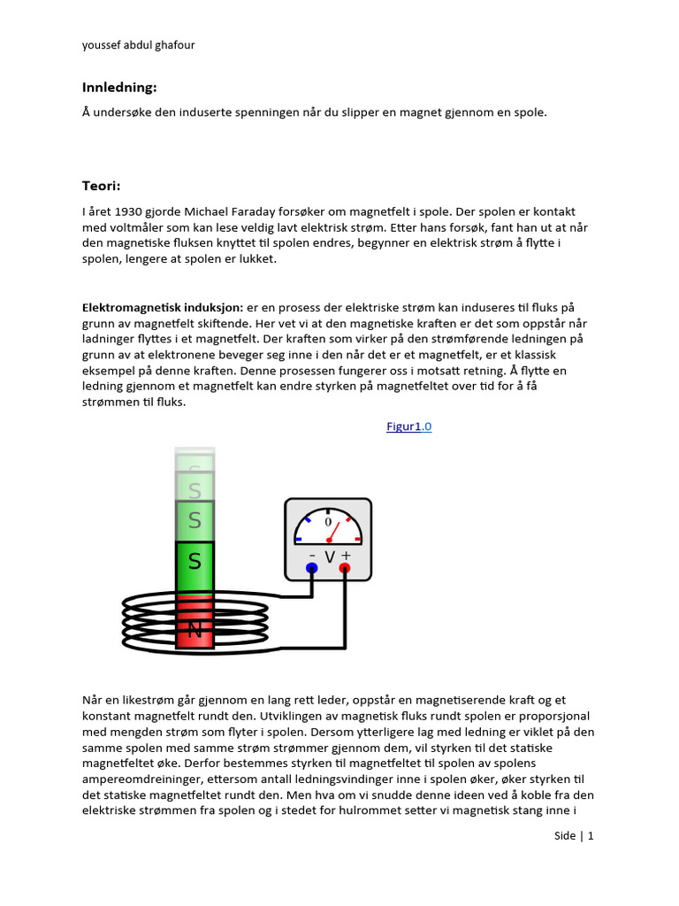 Induksjon Rapport | PDF