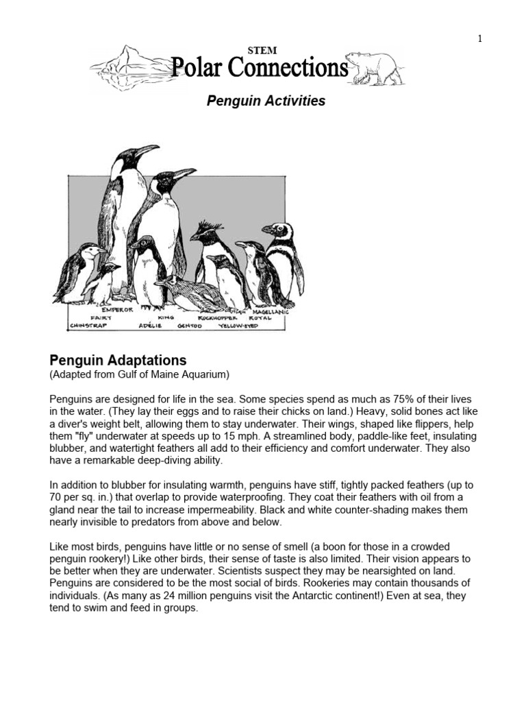 Penguin Activity | PDF | Social Science | Science & Mathematics