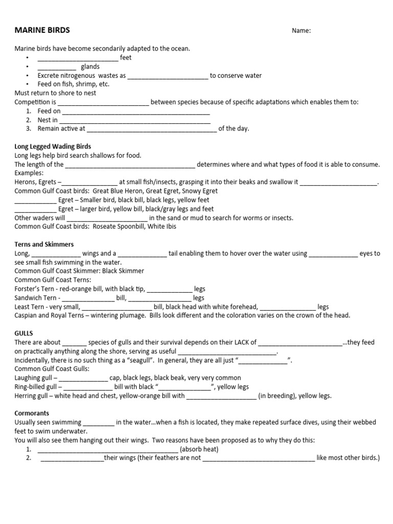 Marine Birds Info Sheet | PDF | Birds | Seabird