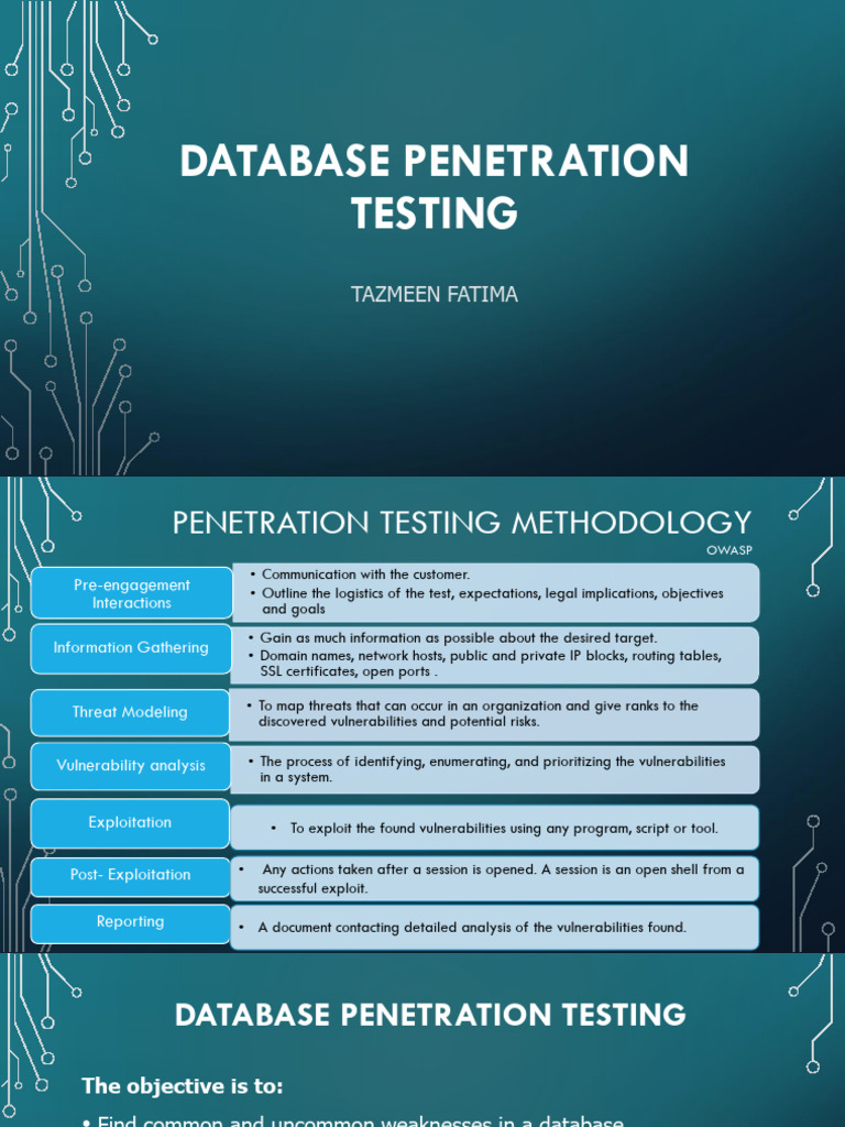 Database Penetration Testing | PDF | Business