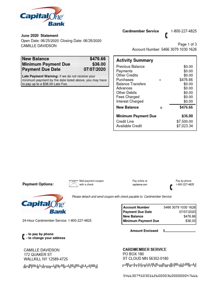 Camille Davidson Statement | Download Free PDF | Debit Card | Cheque