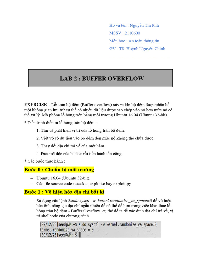 Lab2 Bufferoverflow | PDF