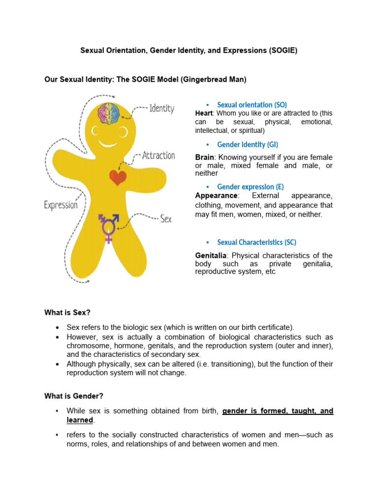 SOGIE | PDF | Sexual Orientation | Heterosexuality
