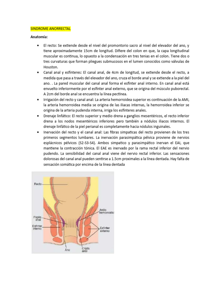 Inspección y diagnóstico anorrectal | PDF | Hemorroides | Cáncer ...
