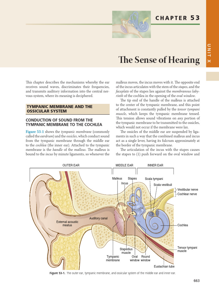 Ear Anatomy and Sound Transmission | PDF | Ear | Hearing