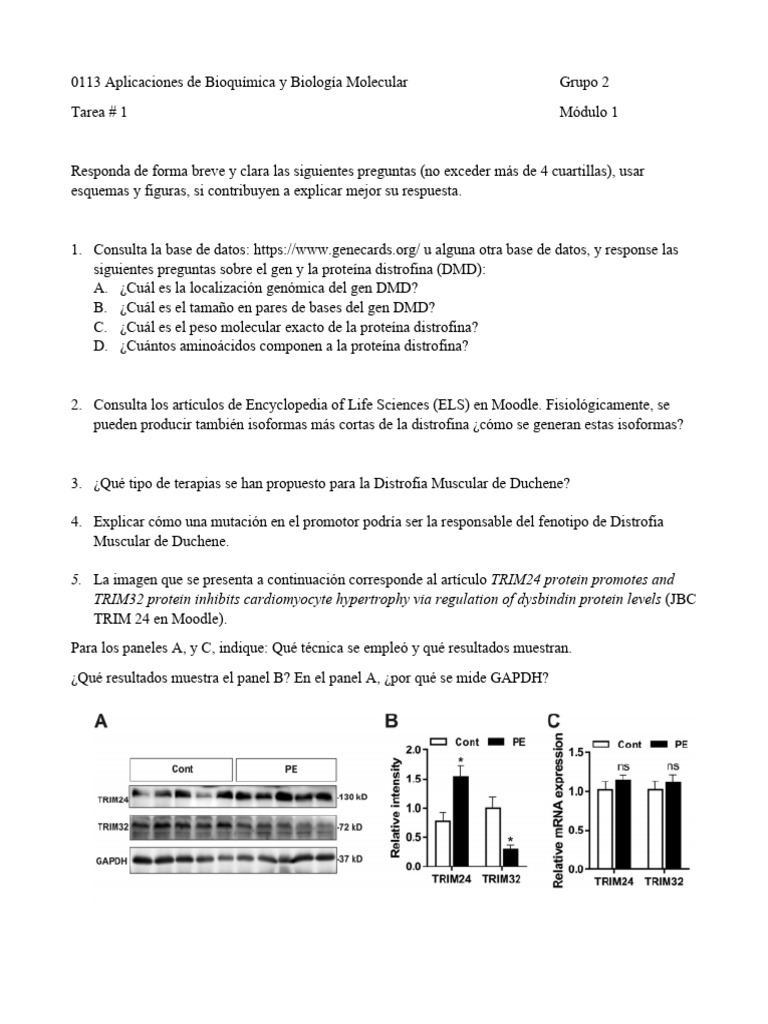 Tarea - Modulo 1 - Sem24 - 1 | PDF