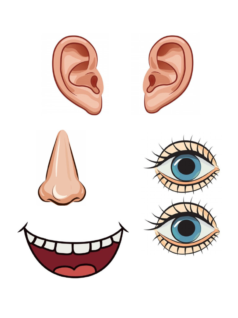 PF2 (Palfish 2) | PDF