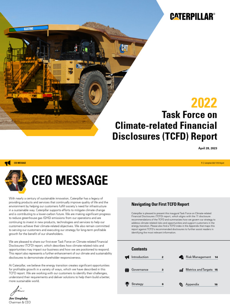 CM2023 Cat | PDF