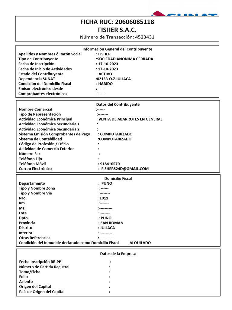 Ficha Ruc Sac | PDF | Business | Industrias de servicio