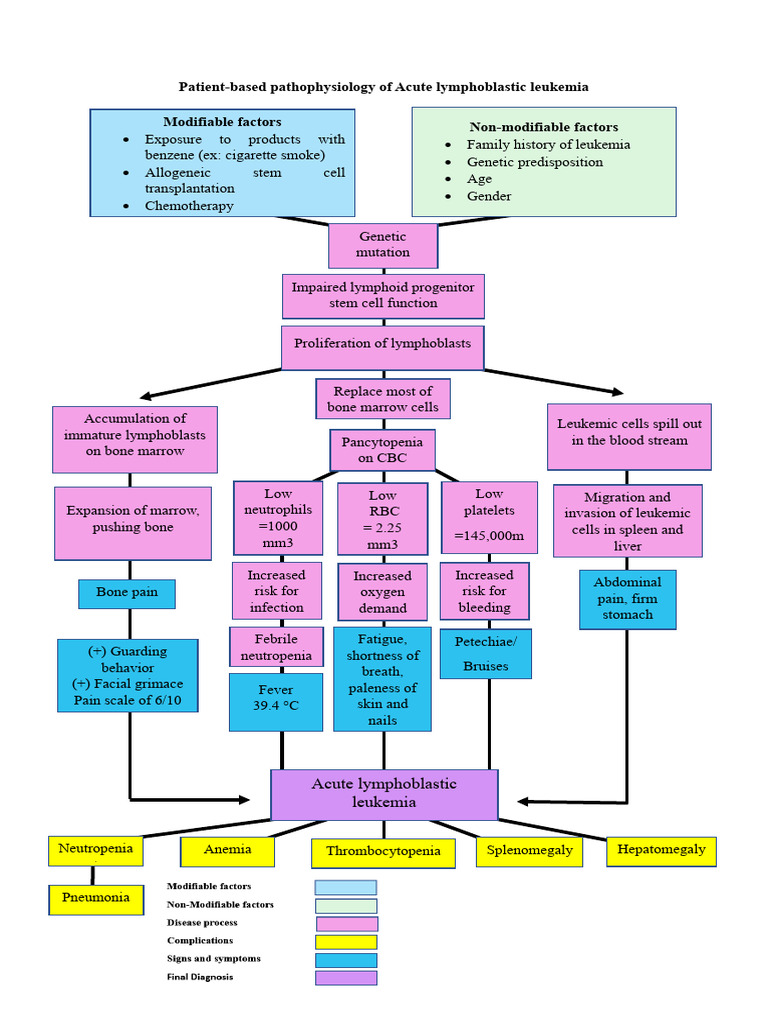 Patient Based Patho ALL Super Final Pro Max | Download Free PDF ...