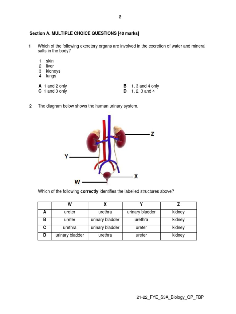 21-22 - FYE - S3A - Biology - QP - FBP - 3697 | PDF | Zygosity | Dominance (Genetics)