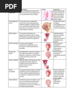 FIGO-MifeMiso-Chart-11-2023-SLW FINAL - ES LA | PDF | Aborto | La salud ...