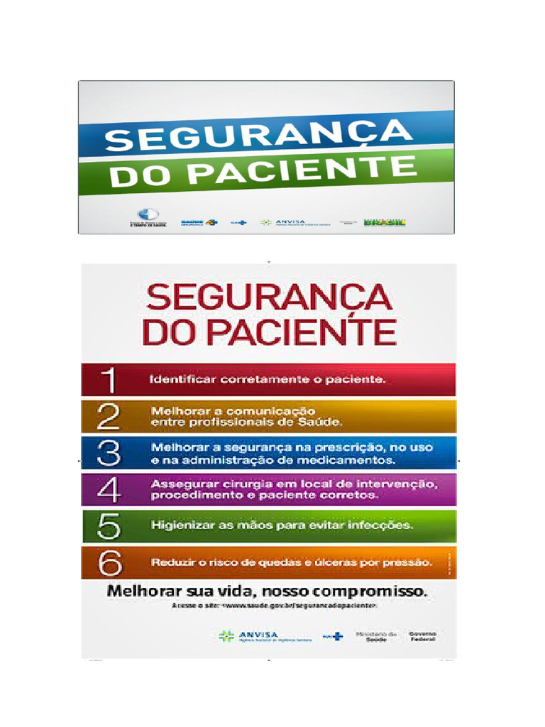 Segurança Do Paciente | PDF