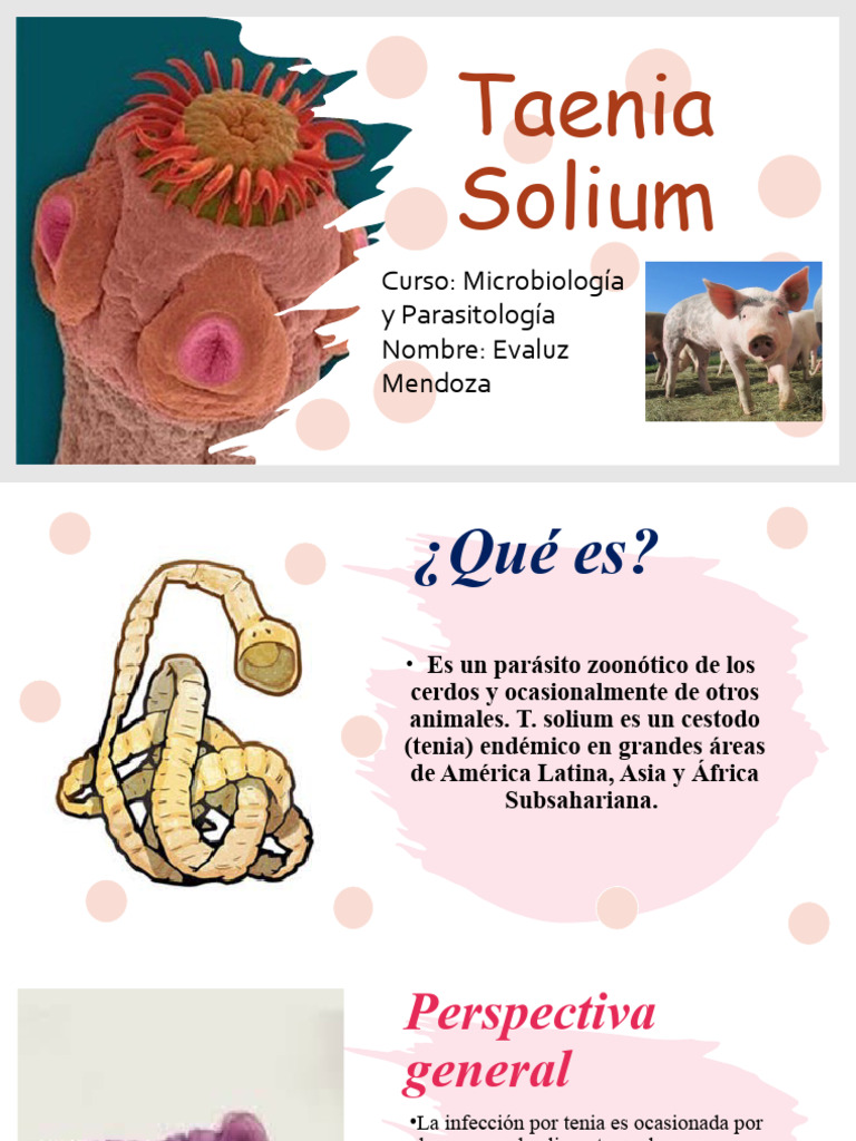 Taenia Solium | PDF