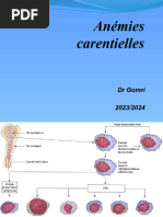 Cours de Physiologie Sanguine | PDF | Globule rouge | Sang